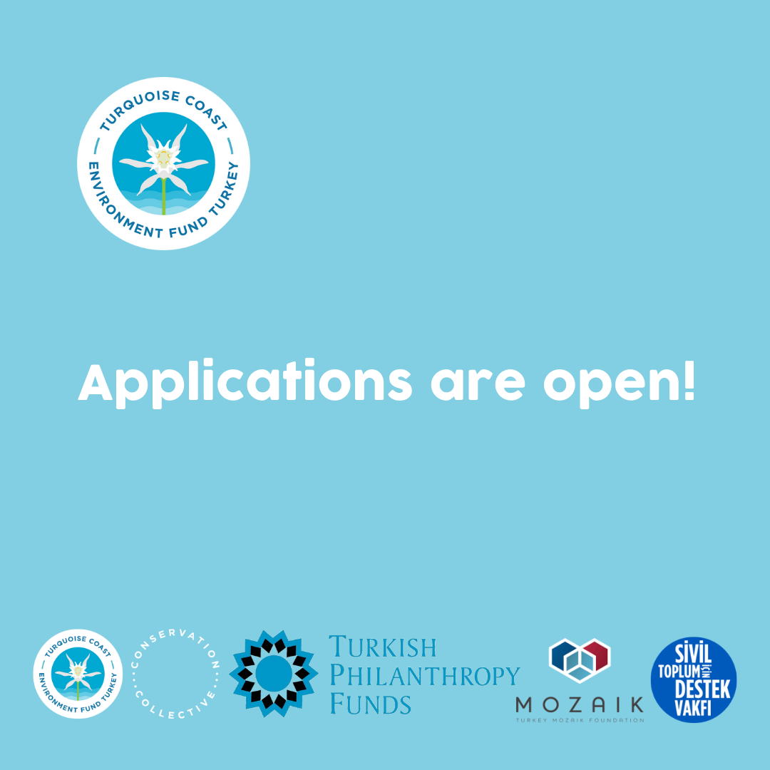 Turquoise Coast Environment Fund-Turkey 2023 applications are now open ...